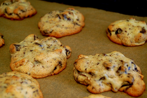 Chocolate Chip Cookies For Diabetics Chocolate Chip Cookies For Diabetics